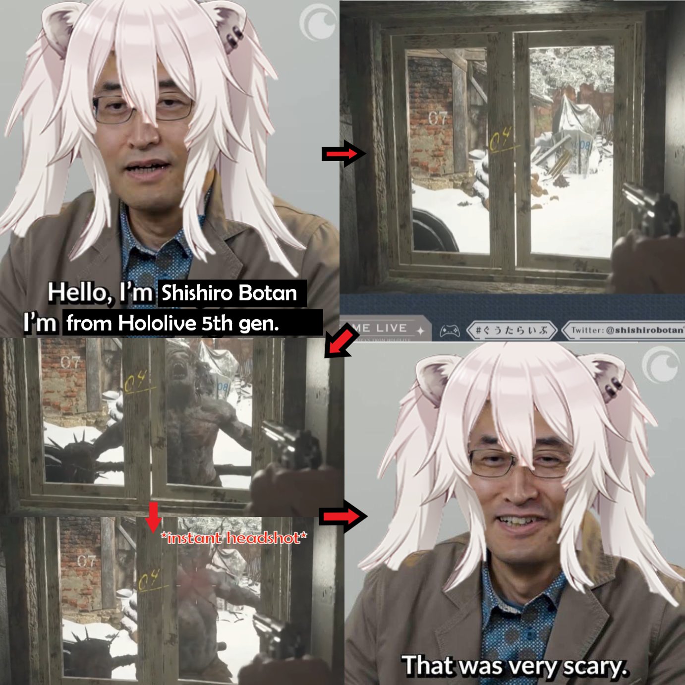 Memes Botan