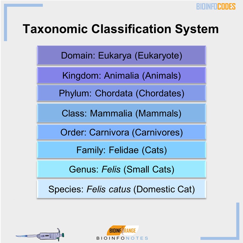 Taxonomy Classification New Taxonomy Databases In OmicsBox BioBam