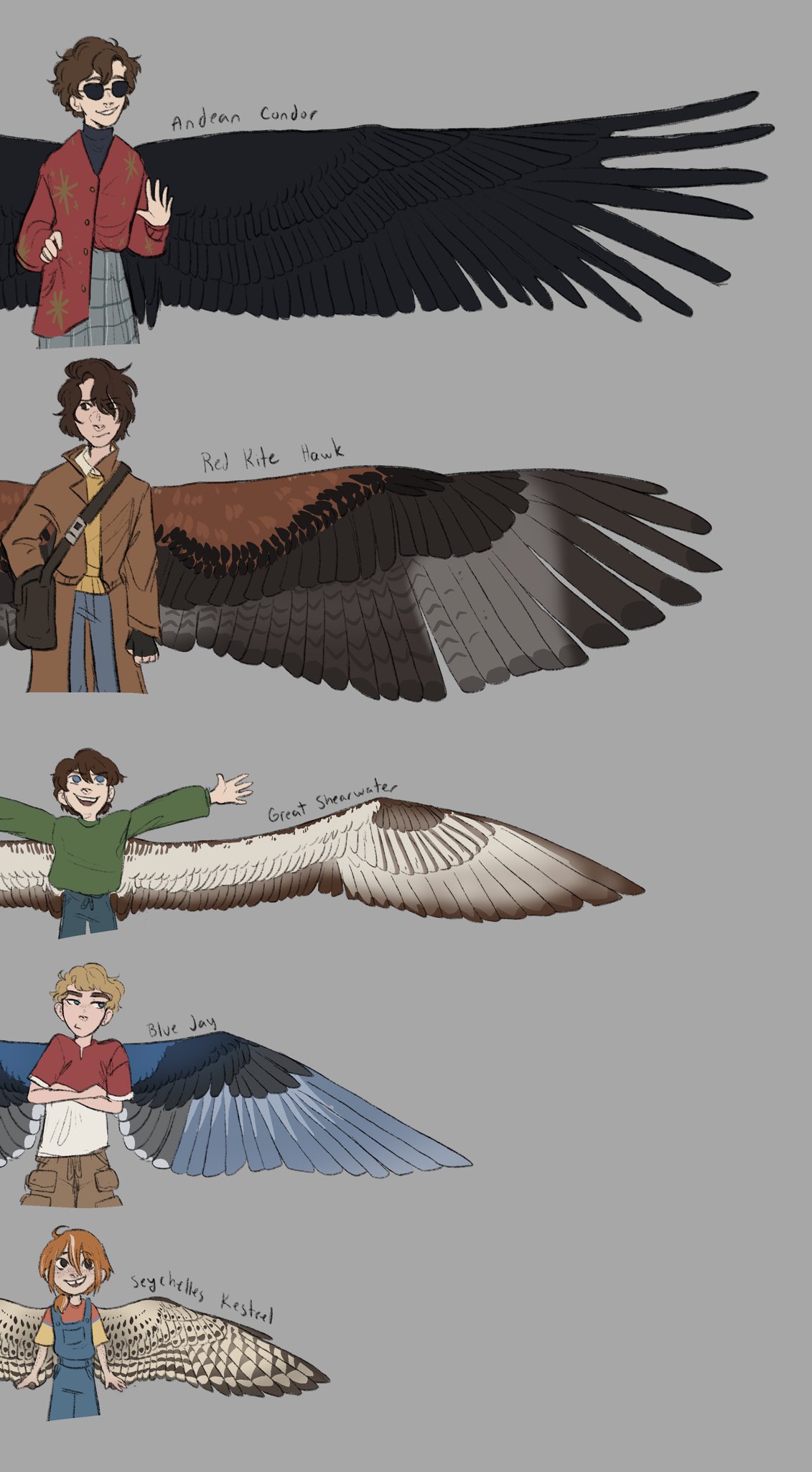 How To Draw Maximum Ride Wings
