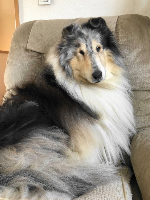 Aki Takeuchi(@noelsora) - Twilog