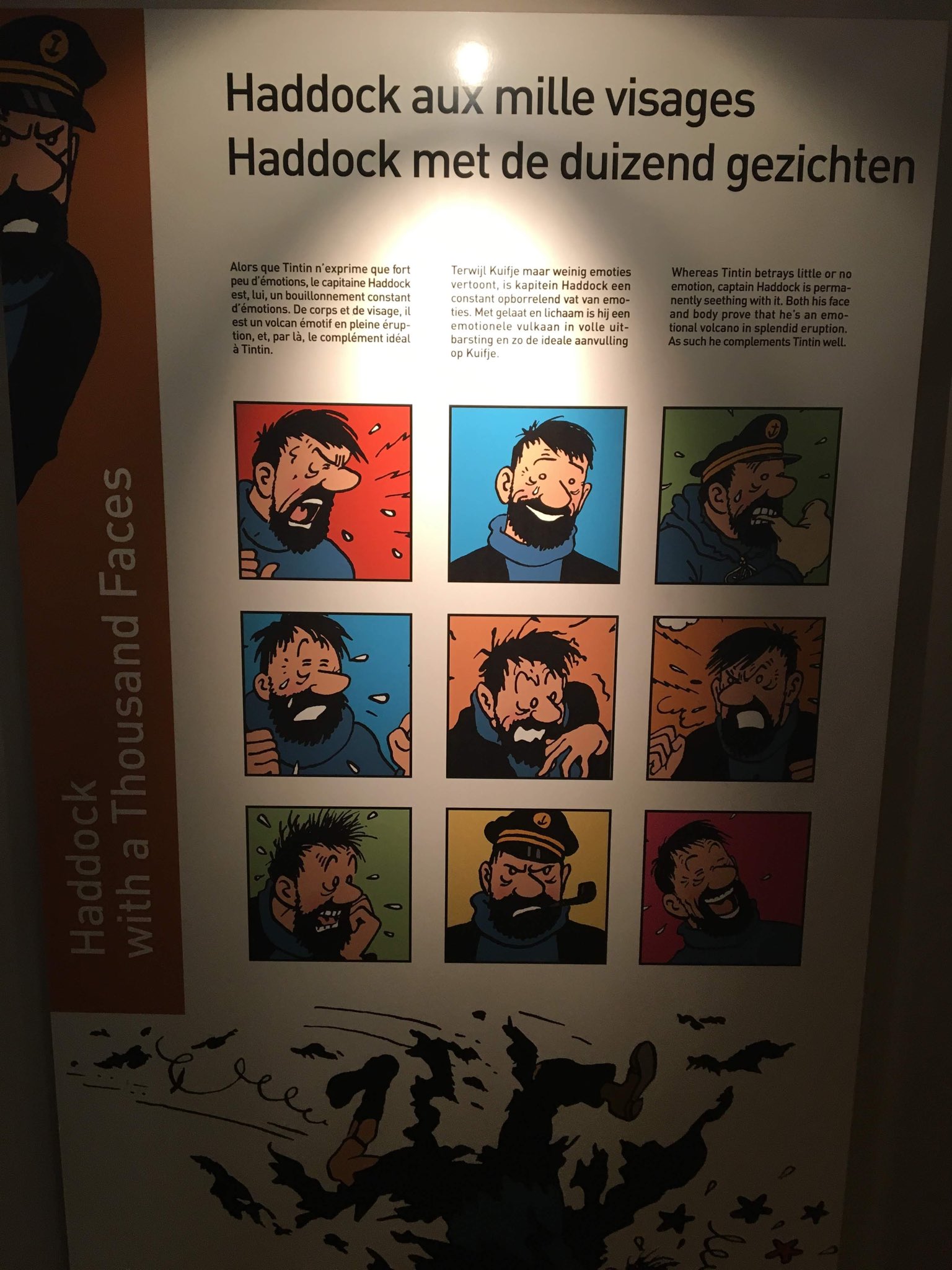 Haddock Memes Not Now Lolcats Lol | Cat Memes | Funny Cats | Funny