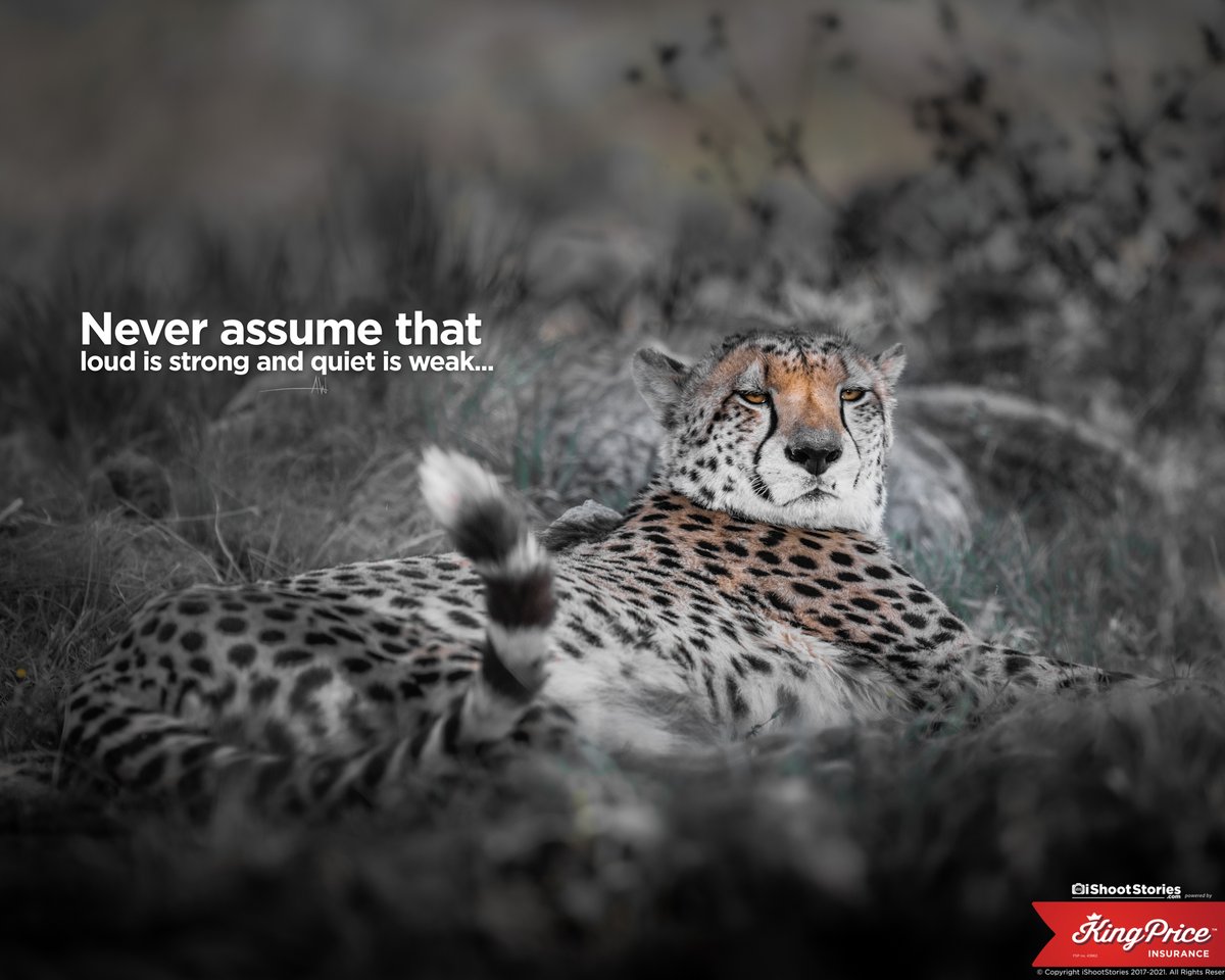Cheetah Life Quotes Inner Cheetah Inspirational Quote Art Print,