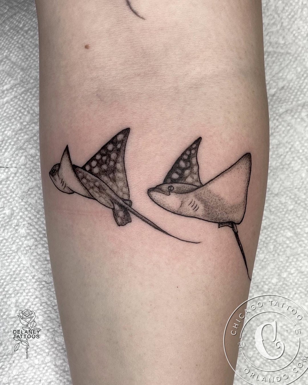 Spotted Eagle Ray Tattoo