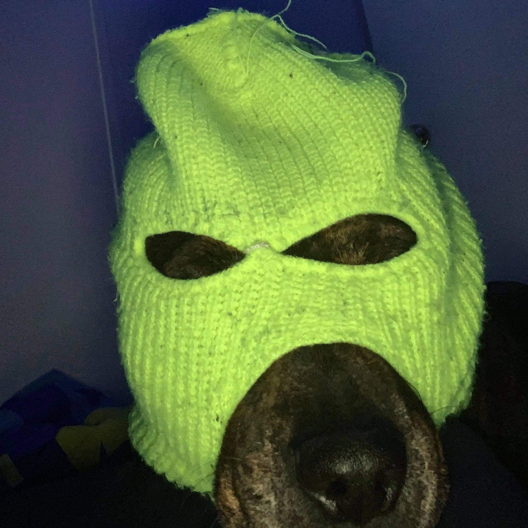 Funny Ski Mask