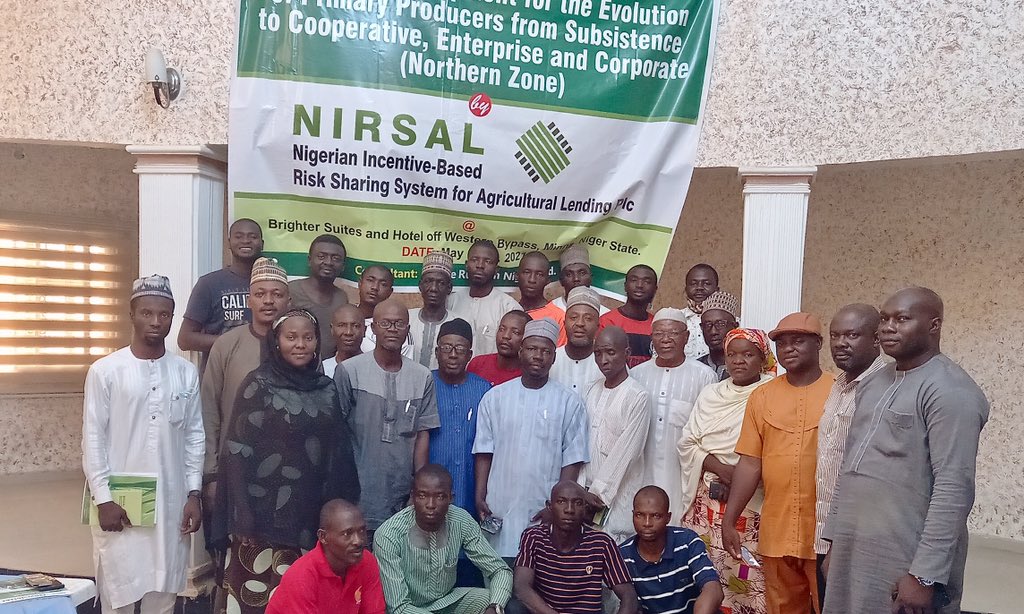 NIRSAL: Building Nigeria's Agribusiness Niche