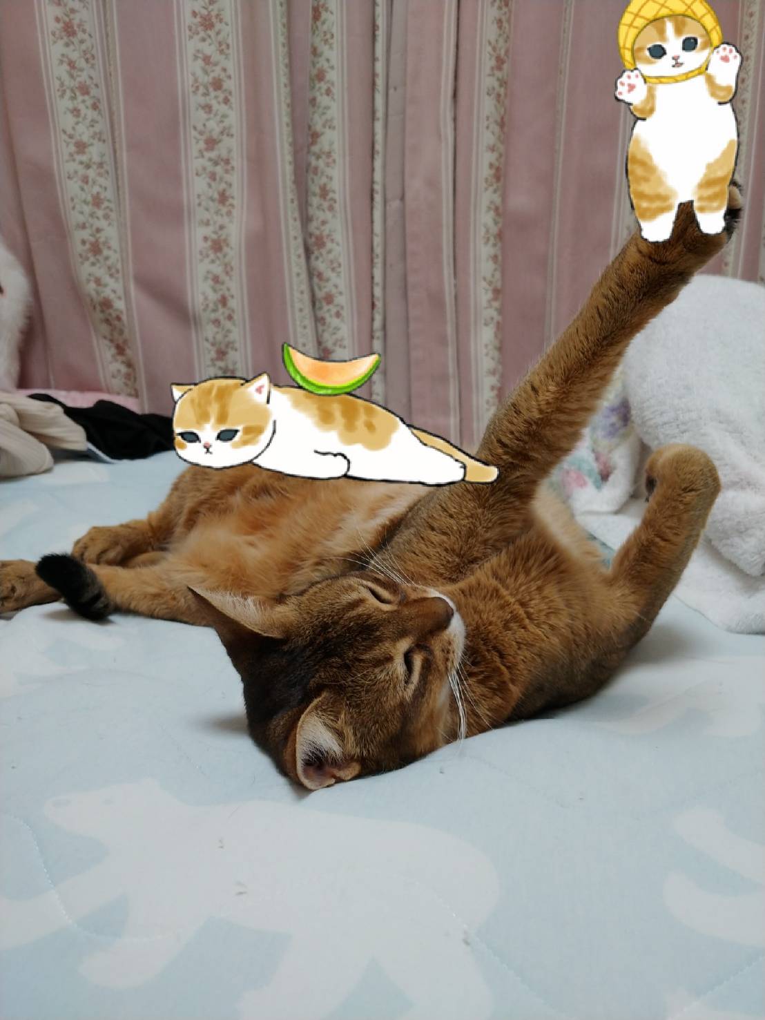 ぢゅの🐈 on Twitter: "RT @Geppakufusei: 昨日の写真にぢゅのさん（@mofu_sand） のスタンプ貼ってみた♫ https://t.co/AhSMKgTa9s ...