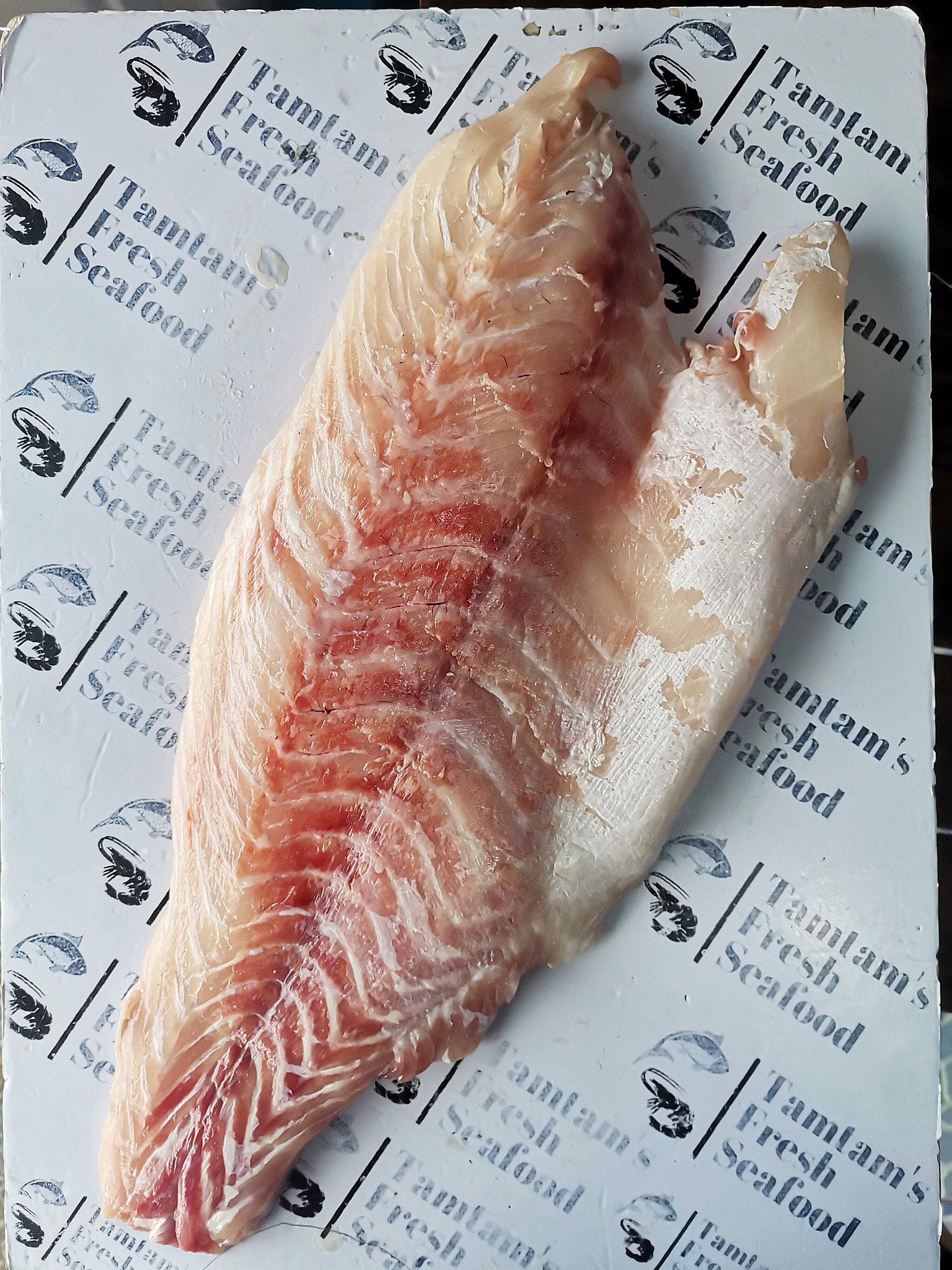 Nile Perch Fillet