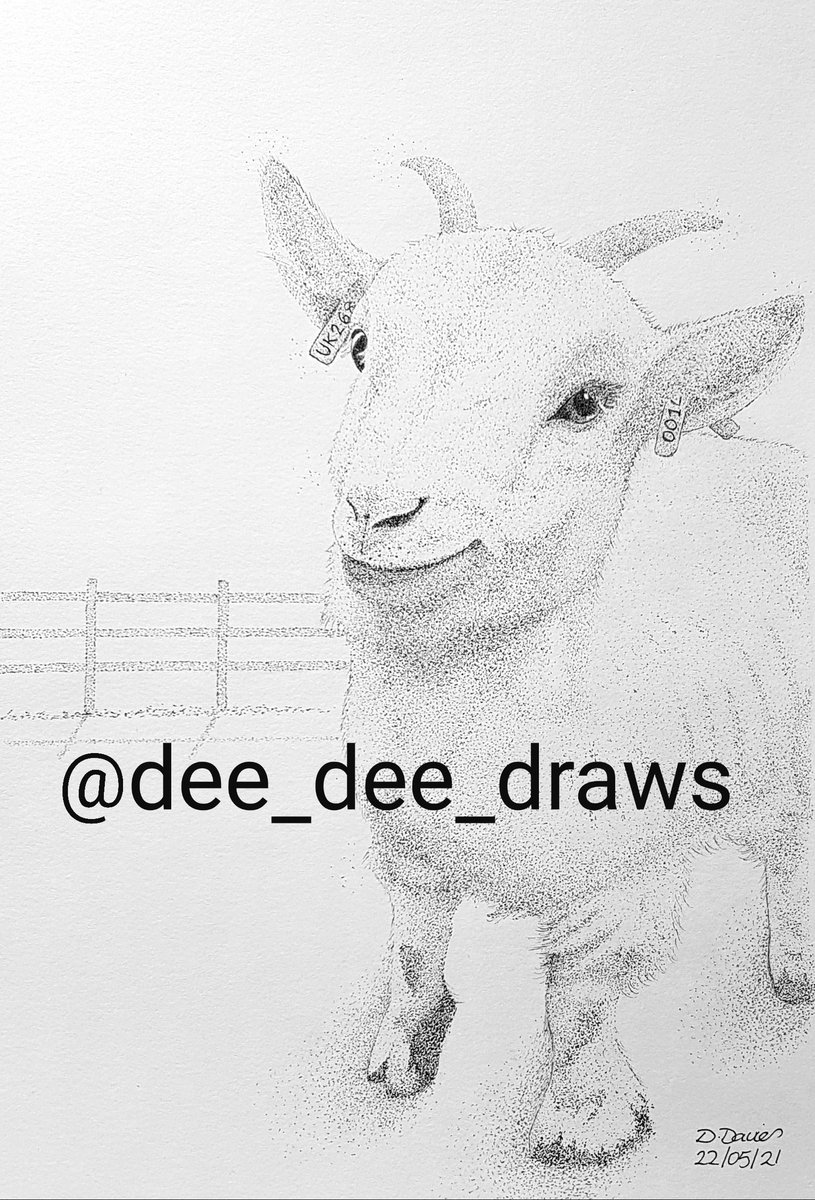 dee_dee_draws (@deedeedraws1) | Twitter