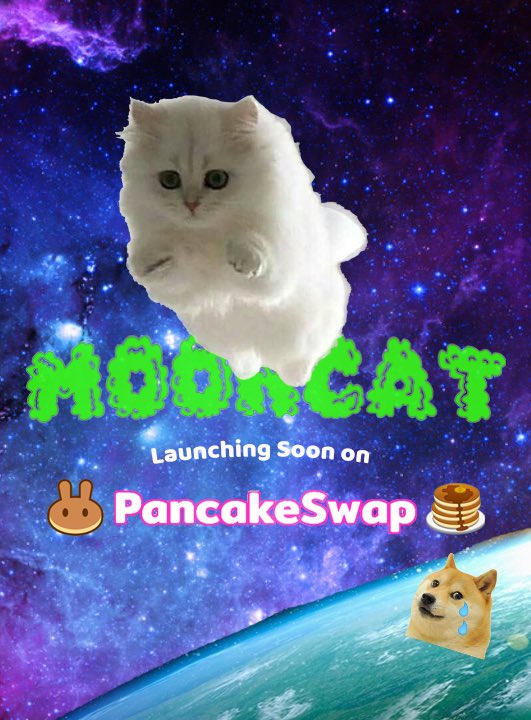 Mooncat | Meme Token (@mooncat_token) | Twitter