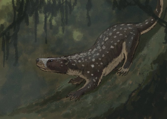 Twoucan - Joschua Knüppe (@JoschuaKnuppe)