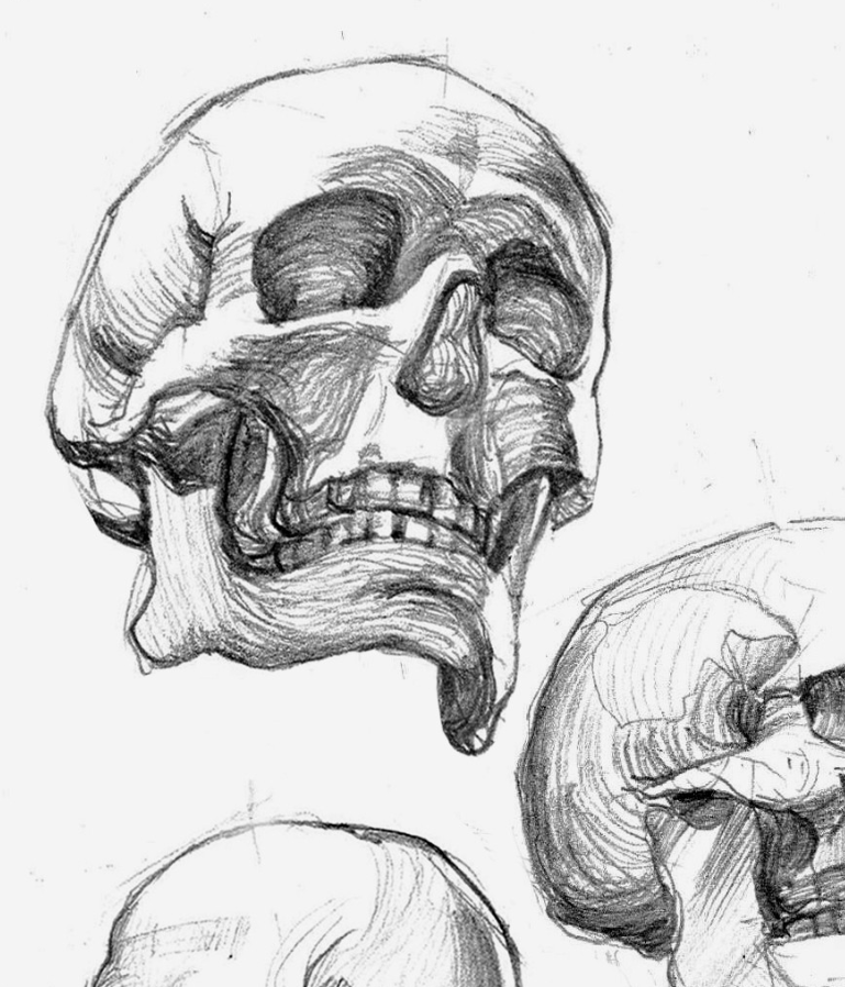 Sad Skull Drawing