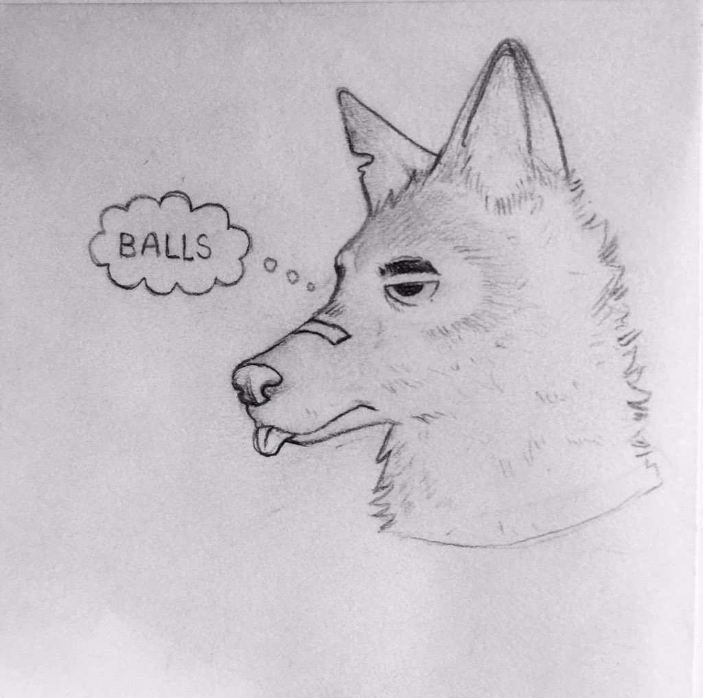 Buck Call Of The Wild Drawing