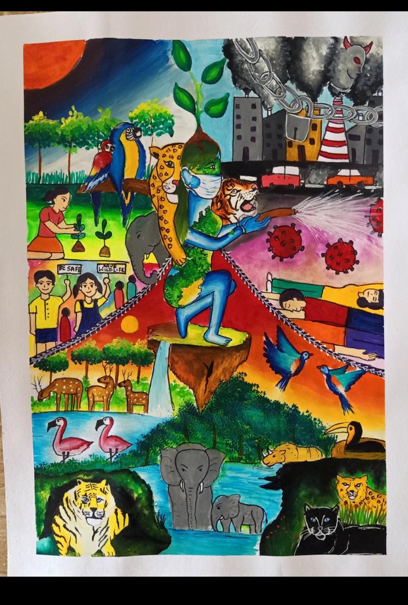 Zoo Drawing Competition