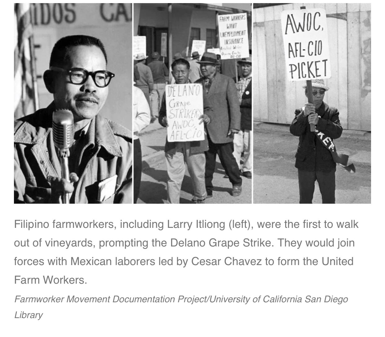 United Farm Workers Movement Strikes