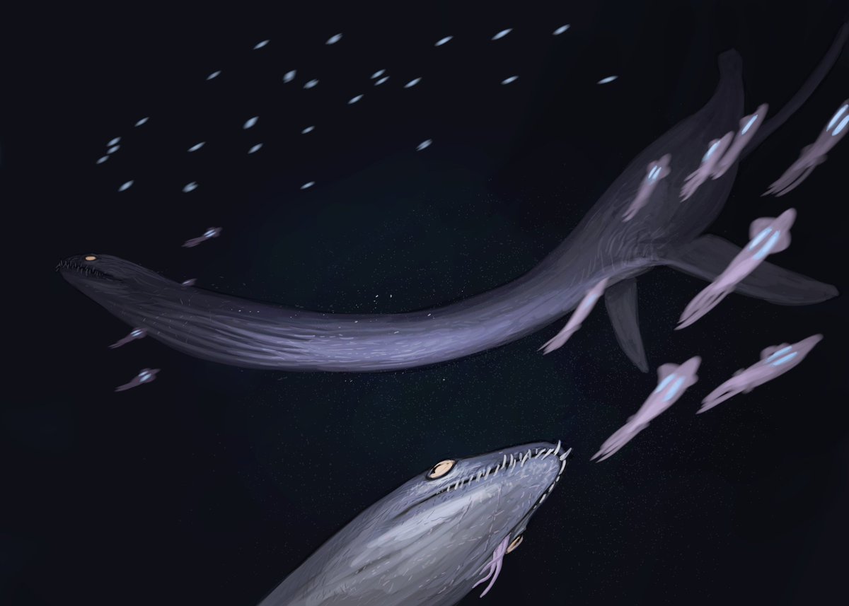 Twoucan - Joschua Knüppe (@JoschuaKnuppe)