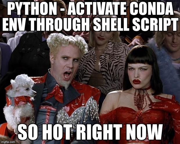 Meme Overflow On Twitter Python Activate Conda Env Through Shell Script