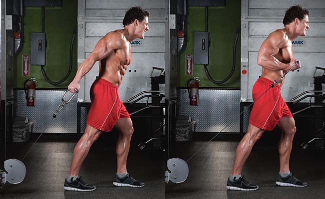 Behind The Back Cable Curl