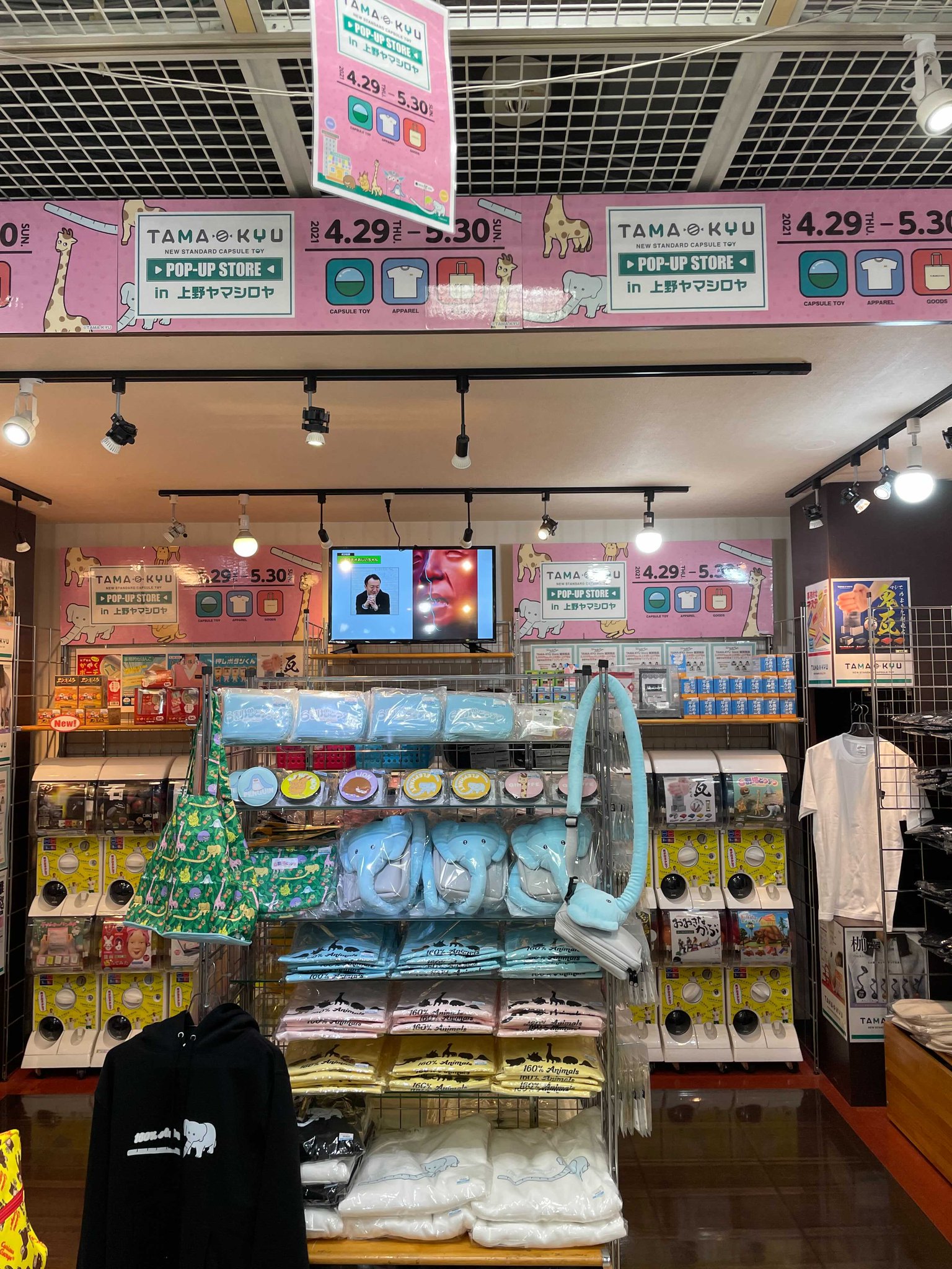 TAMA-KYU（たまきゅう）@カプセルトイ on Twitter: "🐼TAMA-KYUポップアップストア in上野ヤマシロヤ開催中🐾 ⏰ポップアップストアは今週末まで⏰ 注目商品は #6 ...