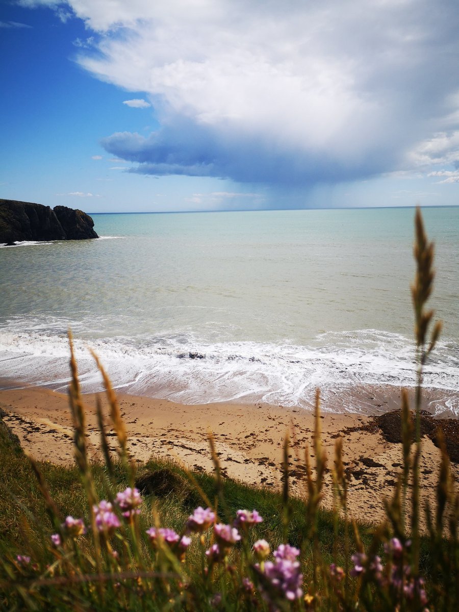 Hike to the Hook. A challenging 20km on the Hook Peninsula.