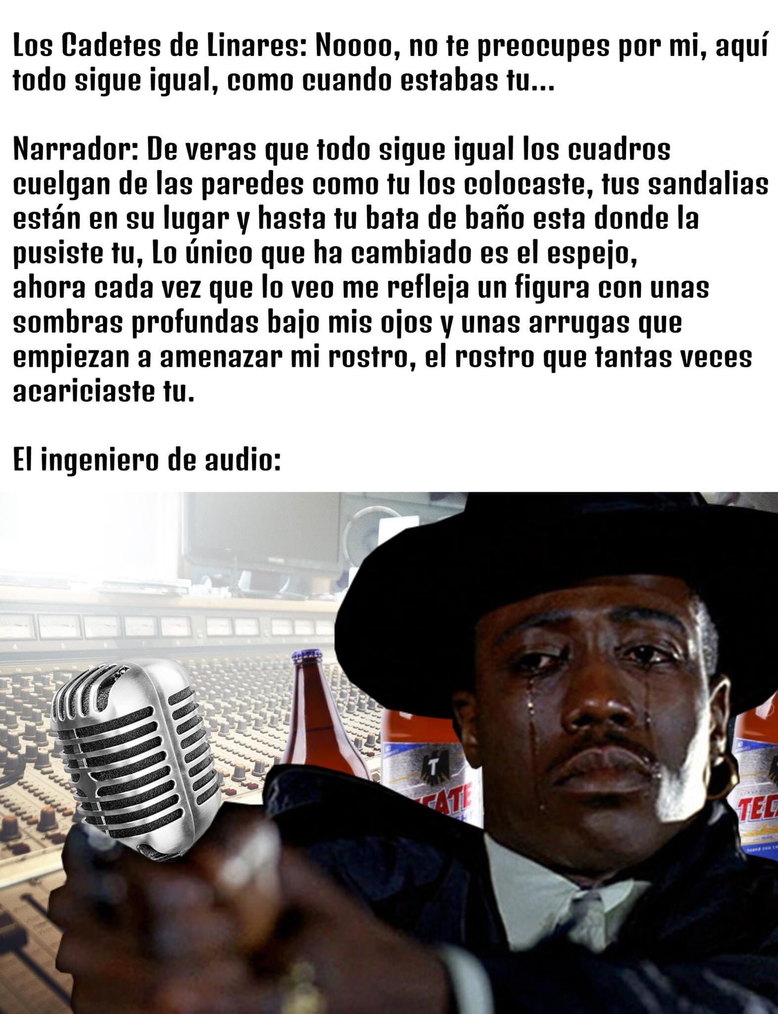 Memes De Toque Aqui I Can Has Cheezburger? Funny Animals Online