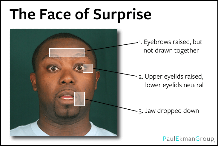 Fear Microexpression Fear Microexpression