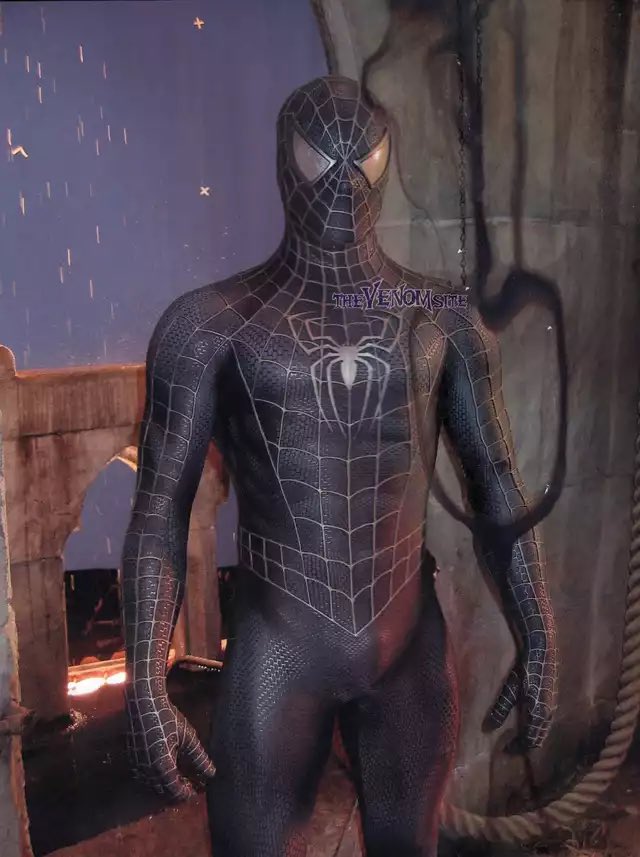 Topher Grace Spider Man Body