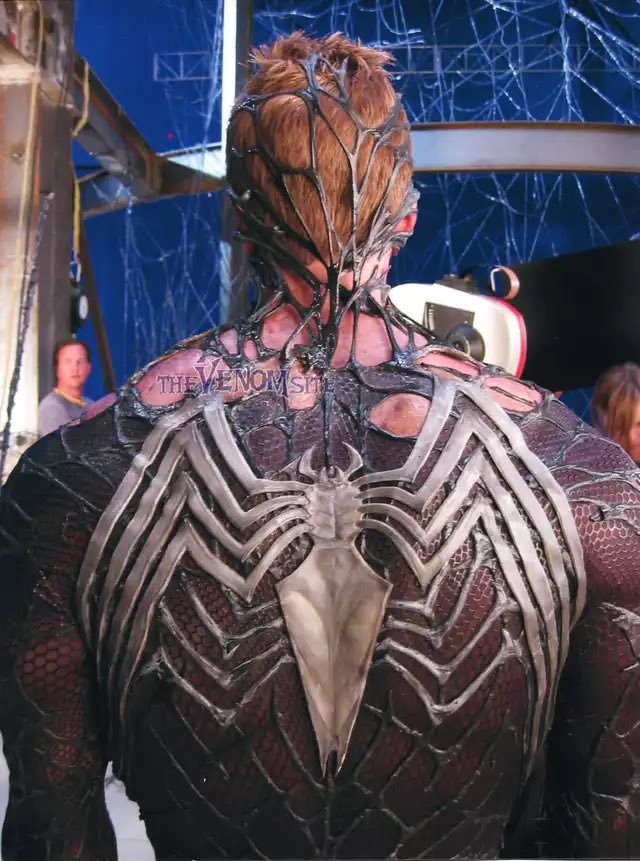 Topher Grace Spider Man Body