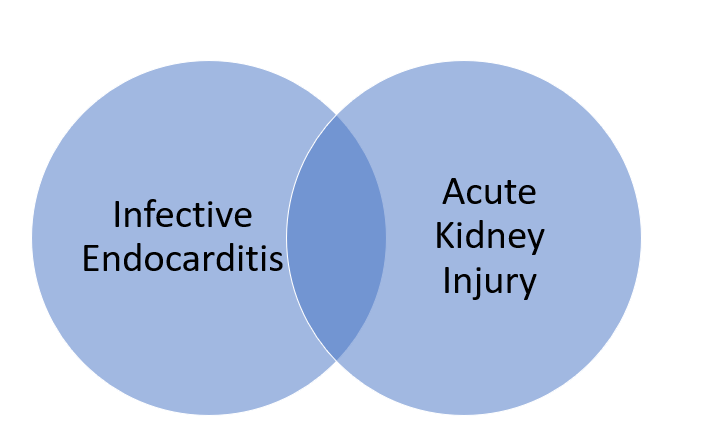 Acute Infective Endocarditis