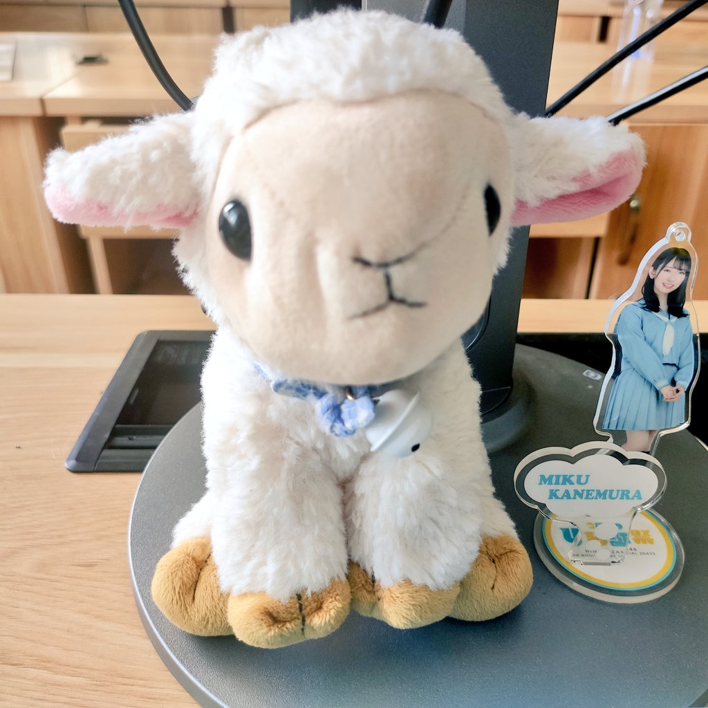 vacabun☀🐟 (@vacabun) | Twitter