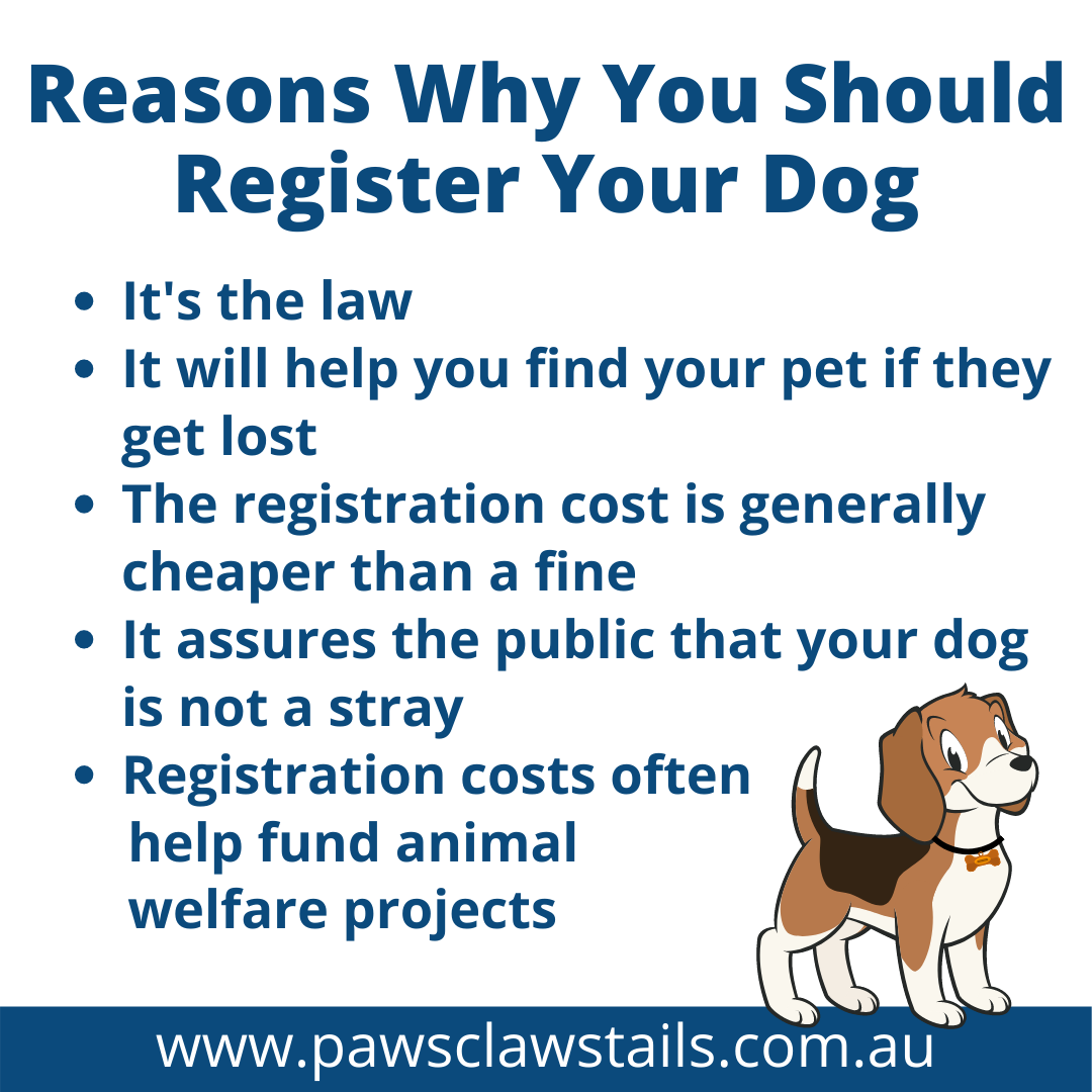 Do You Have To Register Your Dog With The Council