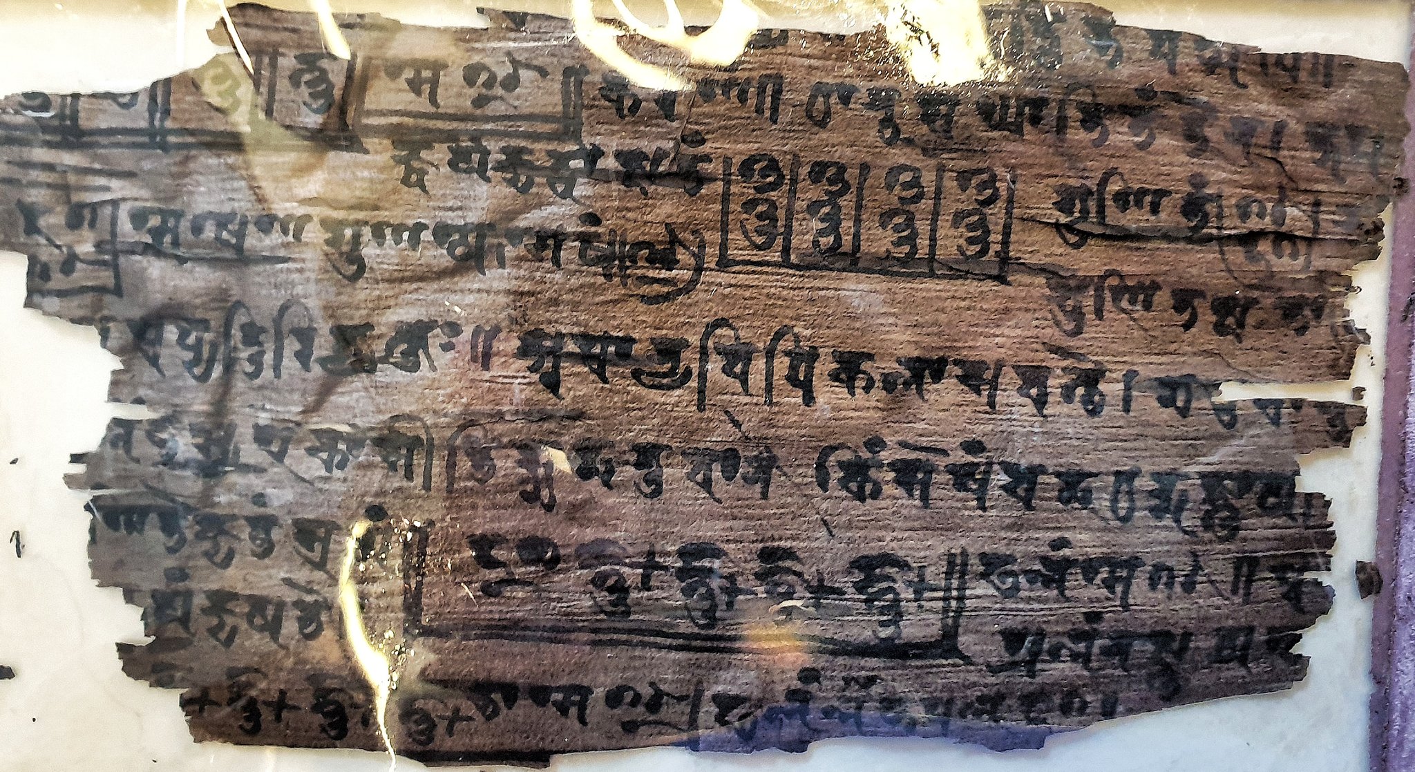 william-dalrymple-on-twitter-the-bakhshali-manuscript-now-in-the