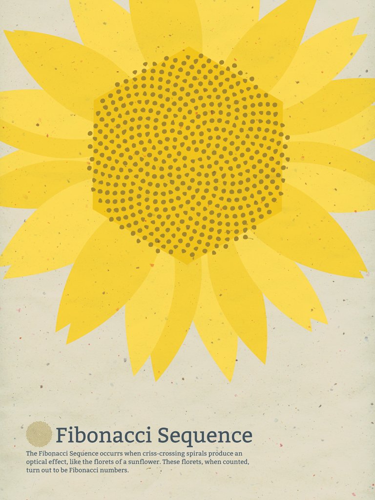 Abakcus on Twitter: "Beautiful mathematics and nature posters that make ...
