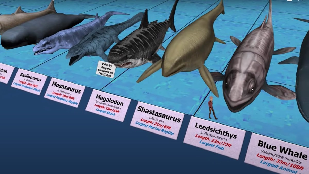 Leedsichthys Problematicus Vs Blue Whale