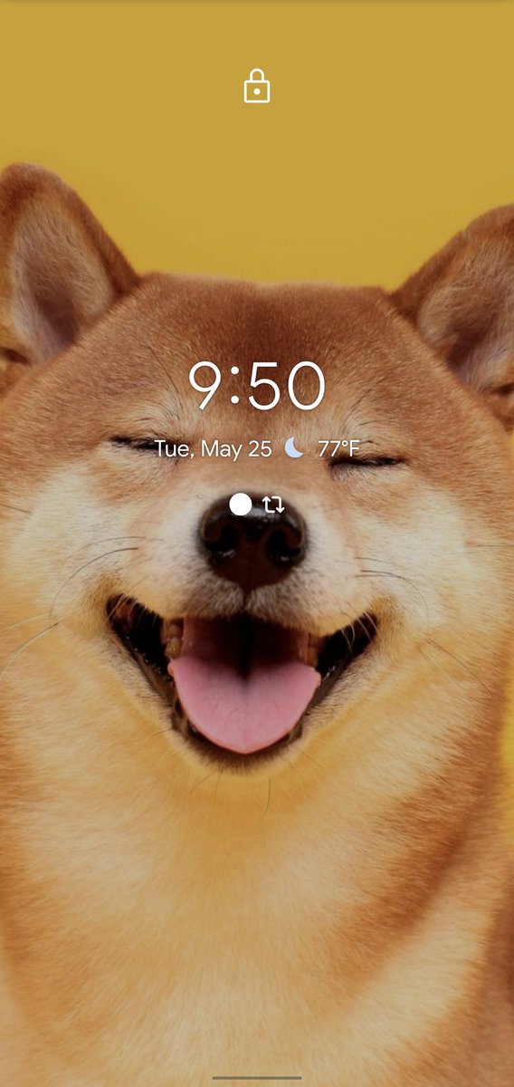 Doge Phone Background