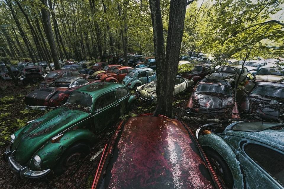 AuraPyre (@aurapyre) | Twitter