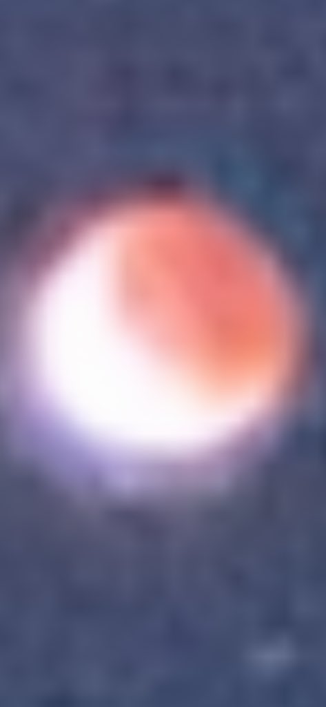 Elfy Scott on Twitter: "Oh my god wow…