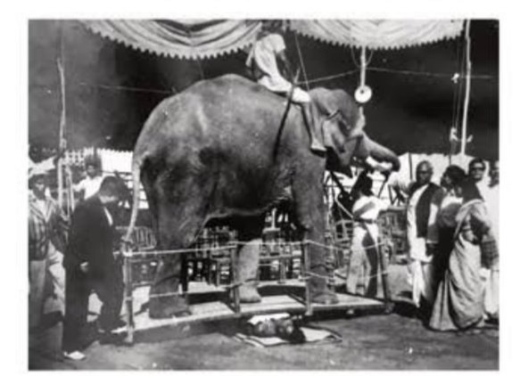 Calcutta popularised the idea of muscular nationalism through yoga in ...