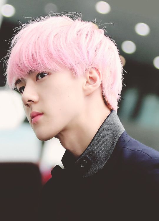 Pink Hair Exo Members