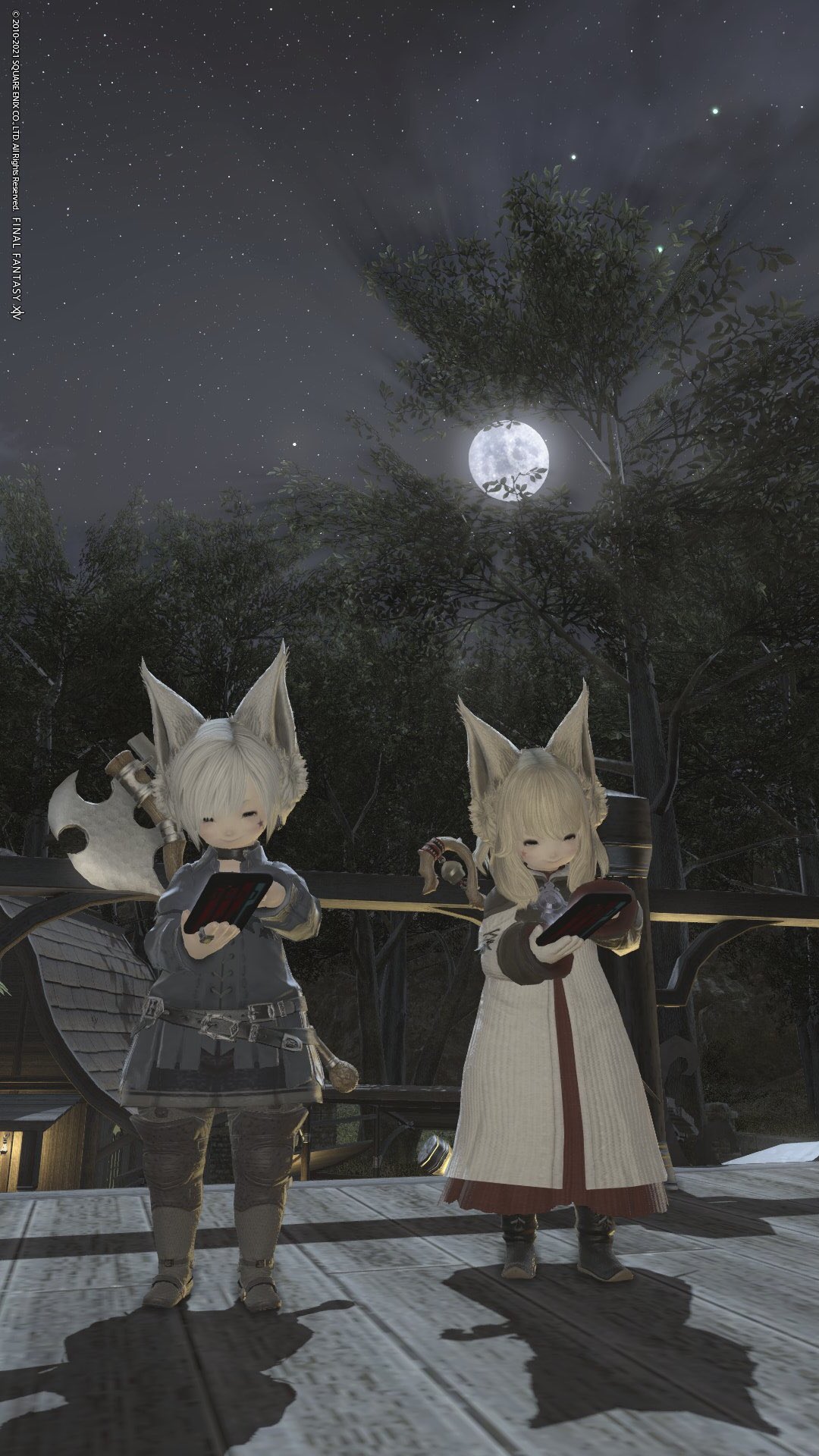 ツクモ@FF11 on Twitter: "皆既月食は雨のため見れませんでしたがエオルゼアの満月もいいものですね🌕 ＃FF14 #エオルゼア https://t.co/xOcAPbw64s ...