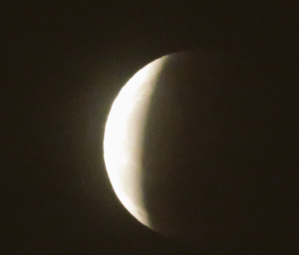 進 撃 の こ (@NOCO_DAYBREAK) | Twitter