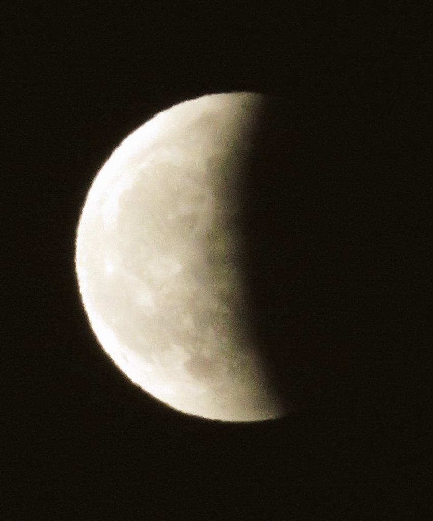 進 撃 の こ (@NOCO_DAYBREAK) | Twitter