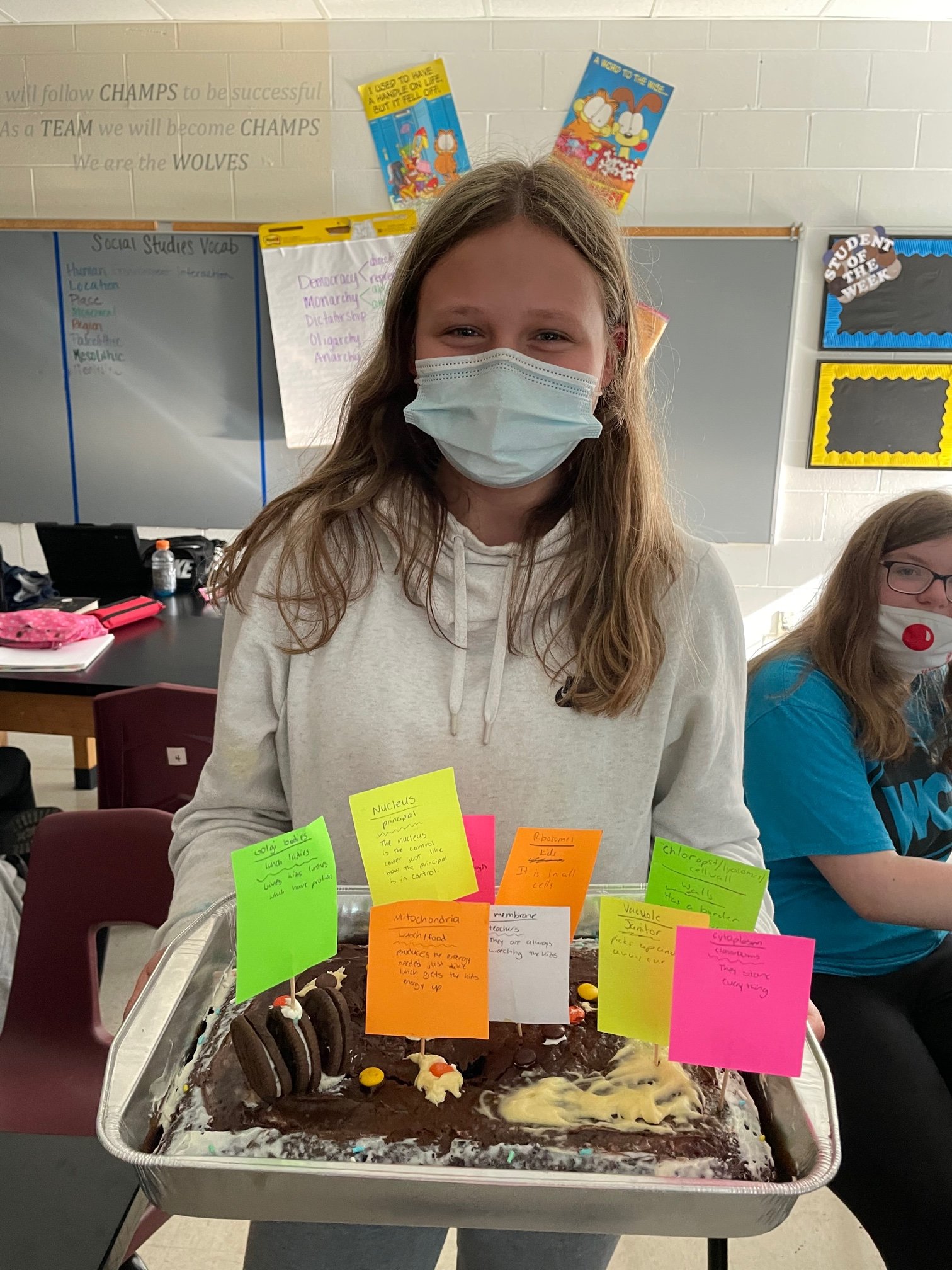 Cell Analogy School Diorama Cell Analogy Projects!