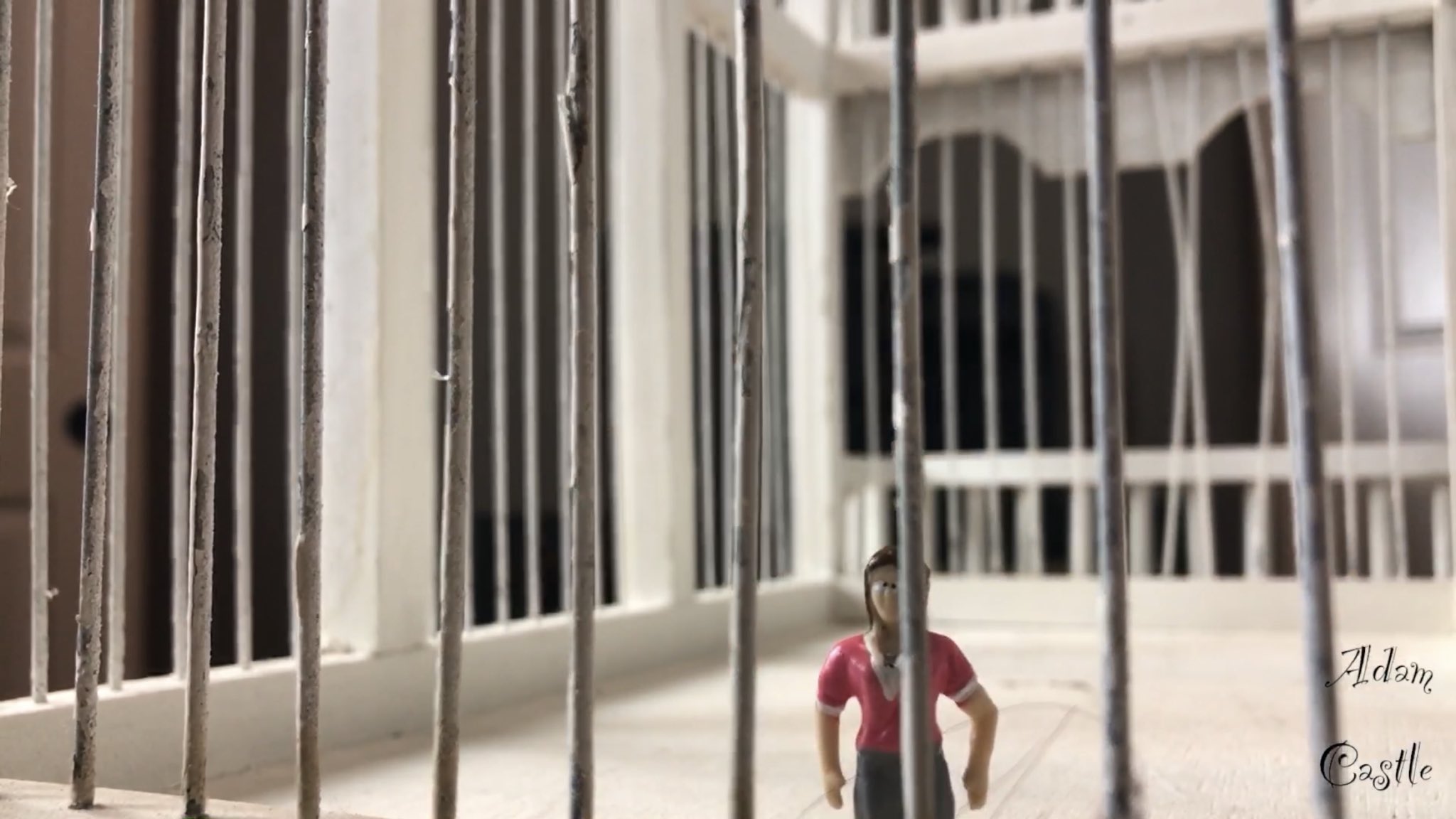 TW Pornstars - 1 pic. Adam Castle. Twitter. Enjoy your new home tinies ...