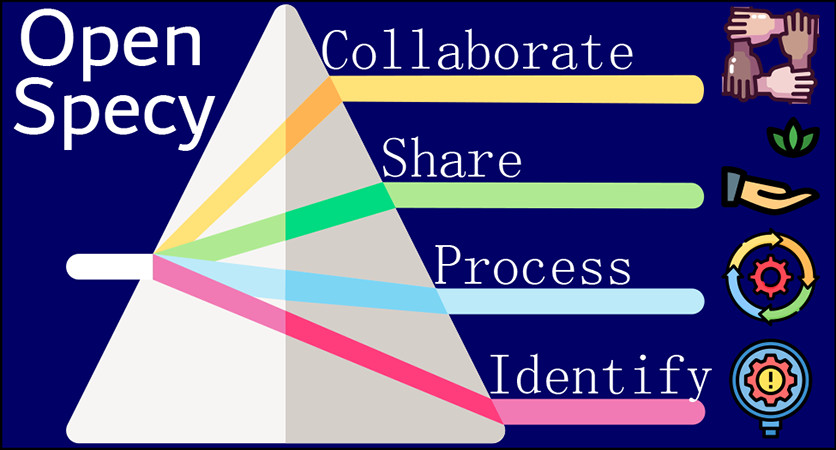 Irs Fatca Reporting Schema