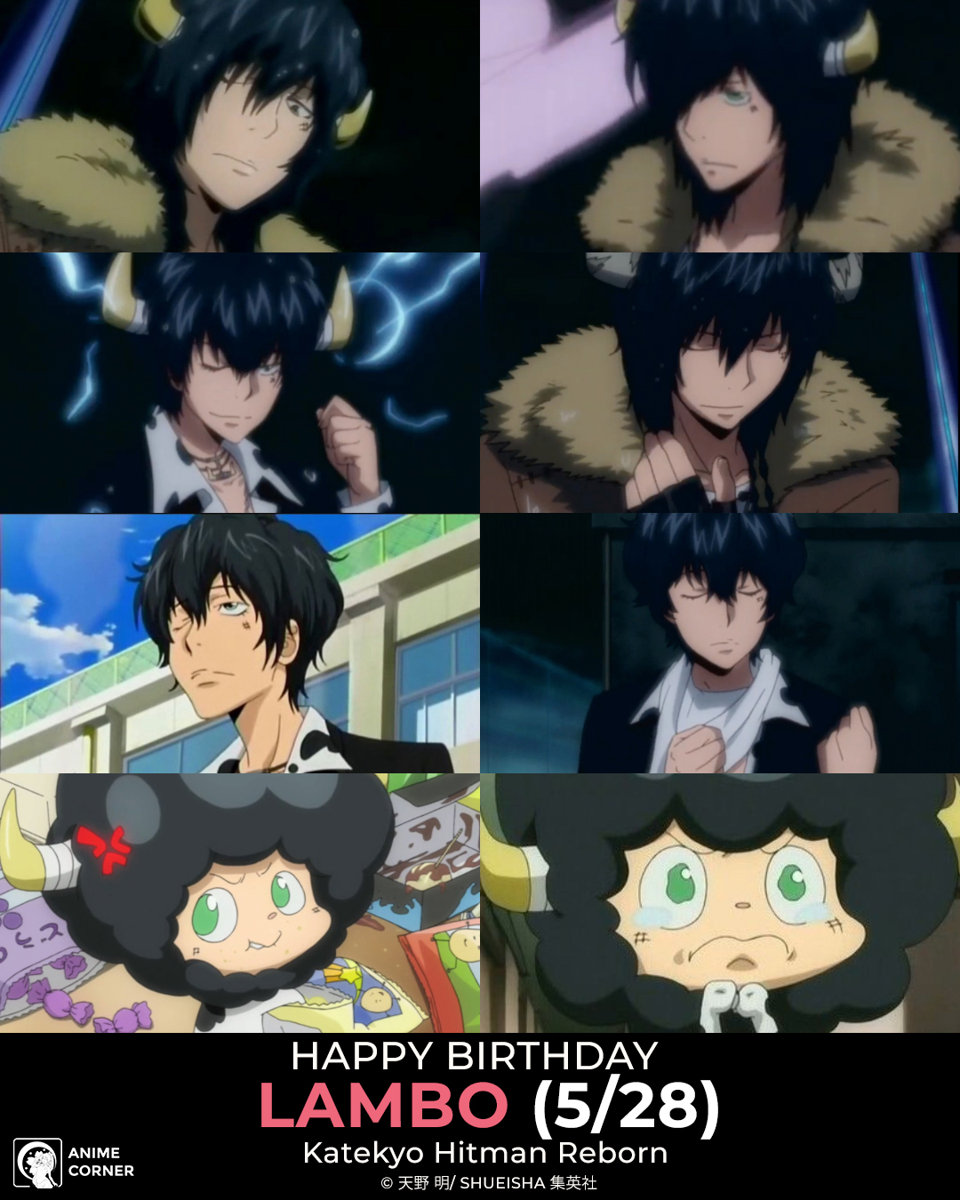 Katekyo Hitman Reborn Guardians