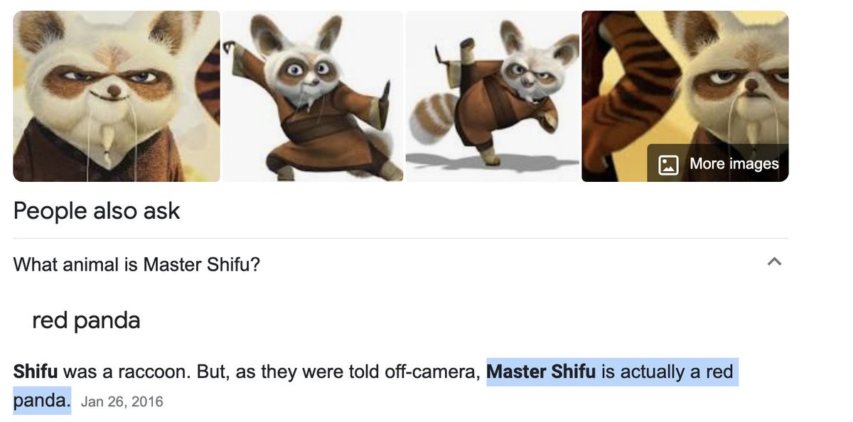 Kung Fu Panda Shifu Red Panda