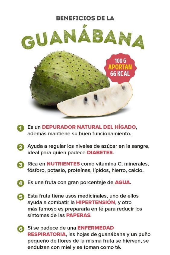 La Guanabana Y Sus Propiedades