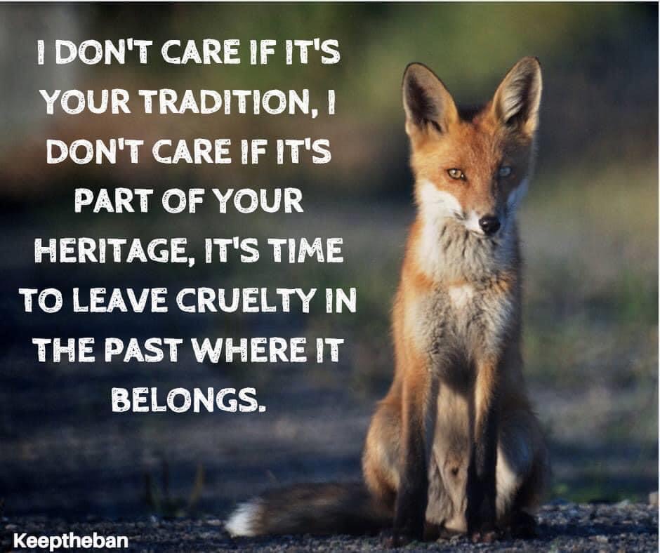 Fox Hunting Quotes