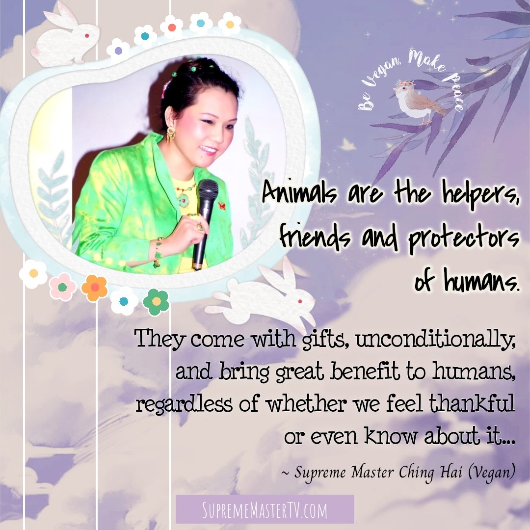 Ching Hai Quotes