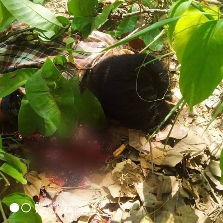 Zin Mar Nwe (@ZinMarN87079710) | Twitter